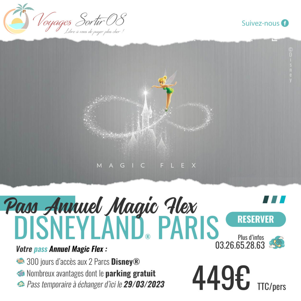 Billet Disneyland® Paris “Flex” 1 jour